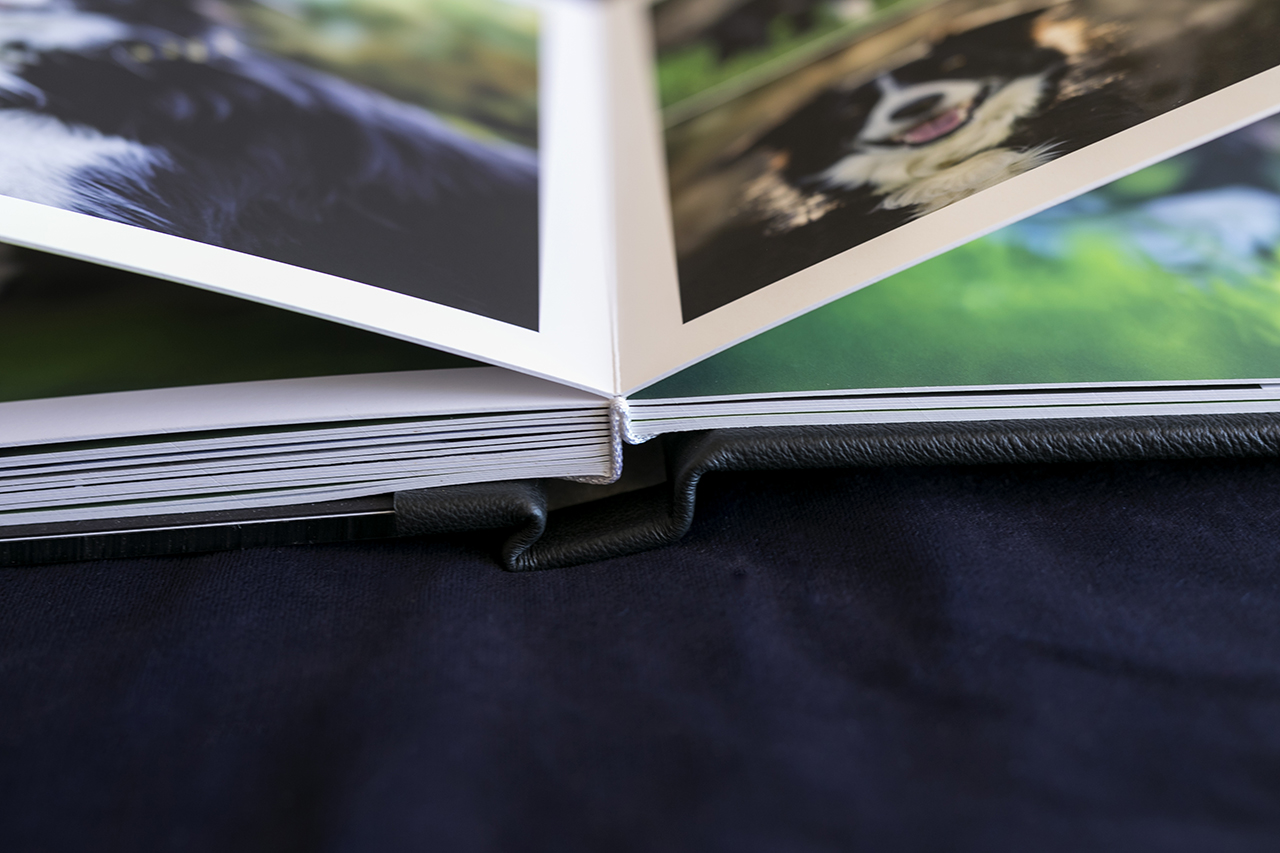 Product Highlight: Signature Fine Art Album – Three Red Ponies