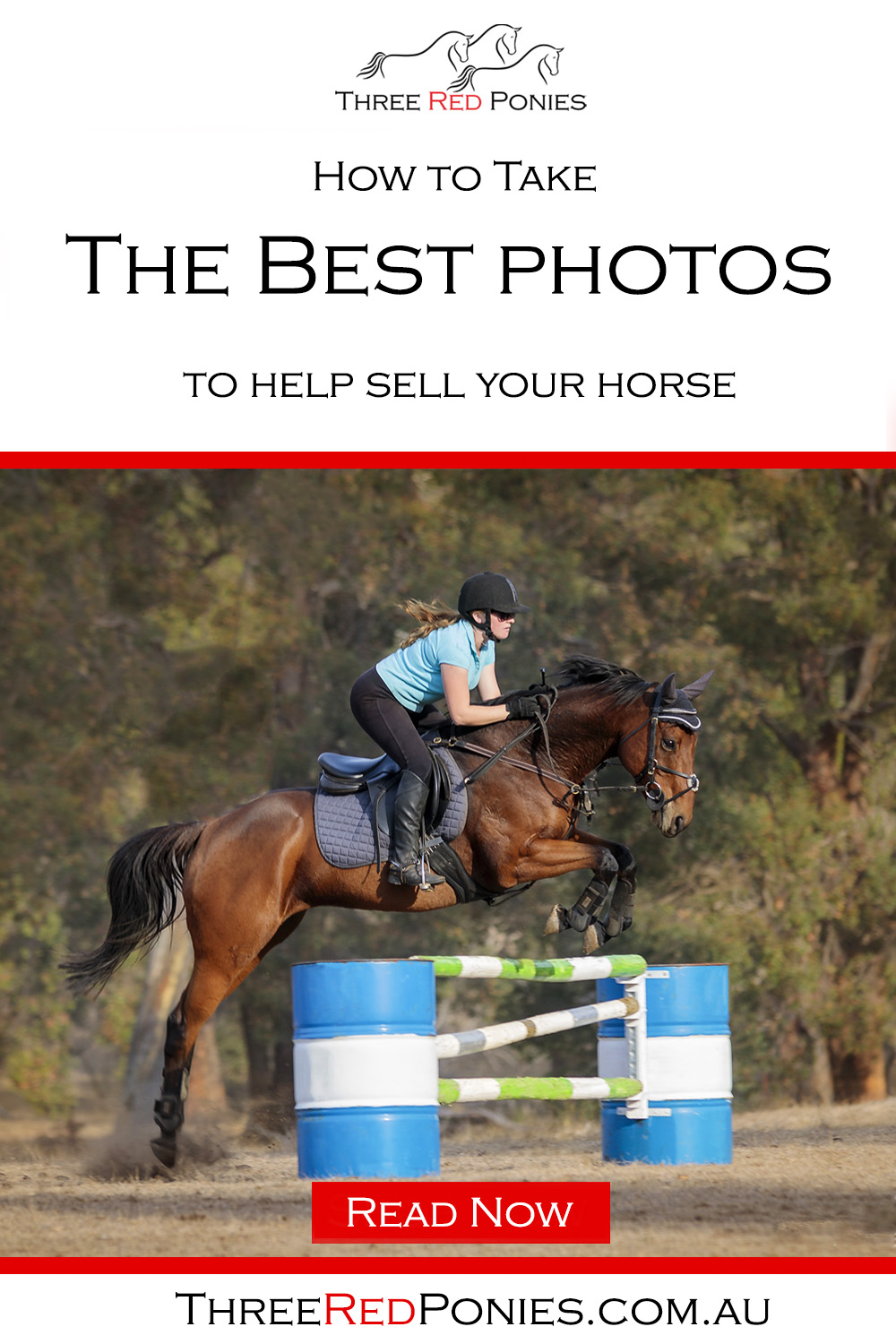 How To Take The Best Photos to Sell Your Horse – Three Red Ponies