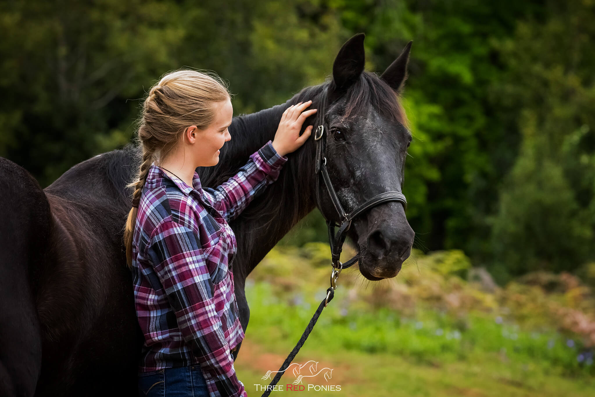 Horse Photography – Three Red Ponies