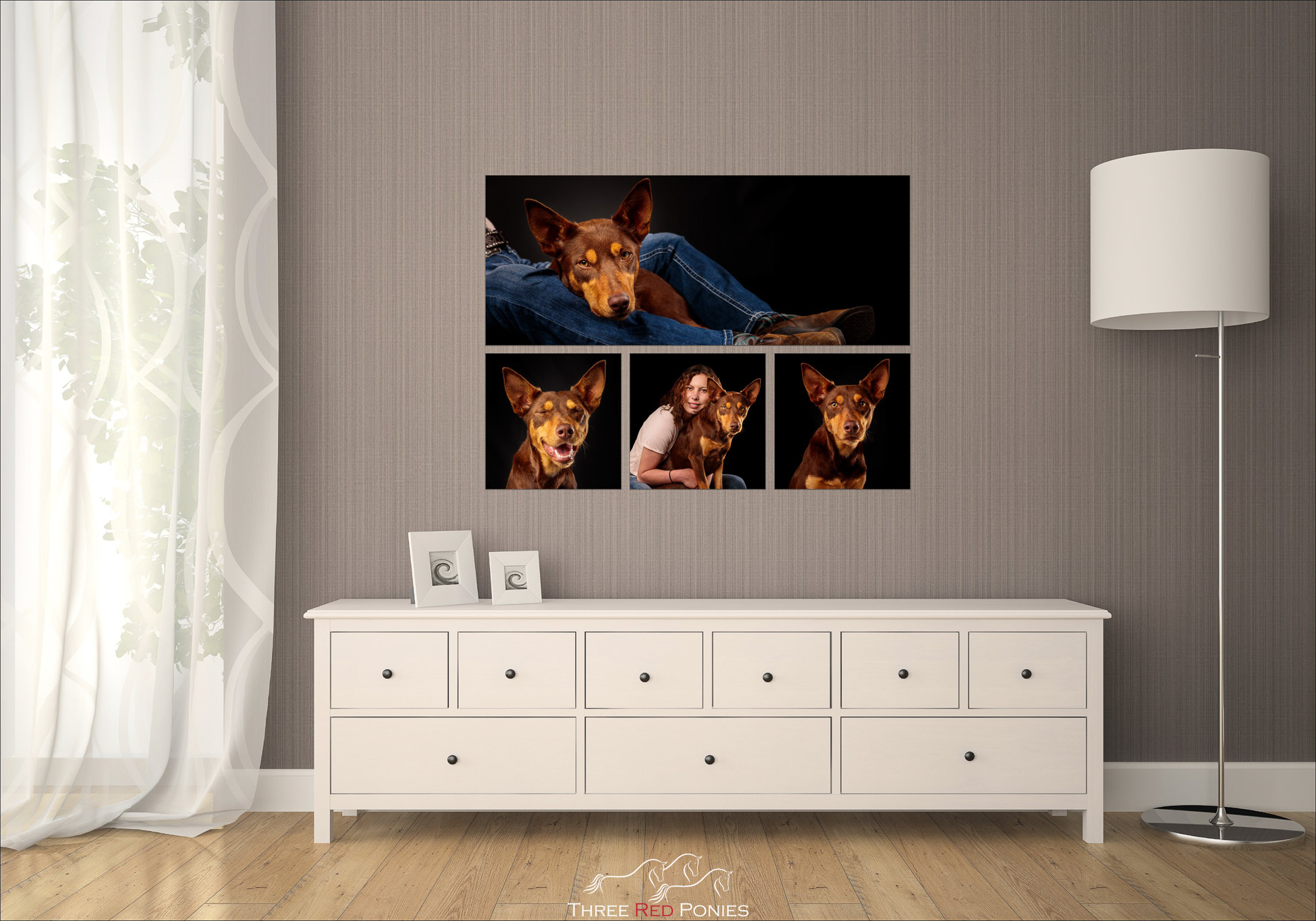 Transform Your Home into a Meaningful Space with Custom Pet Photography ...